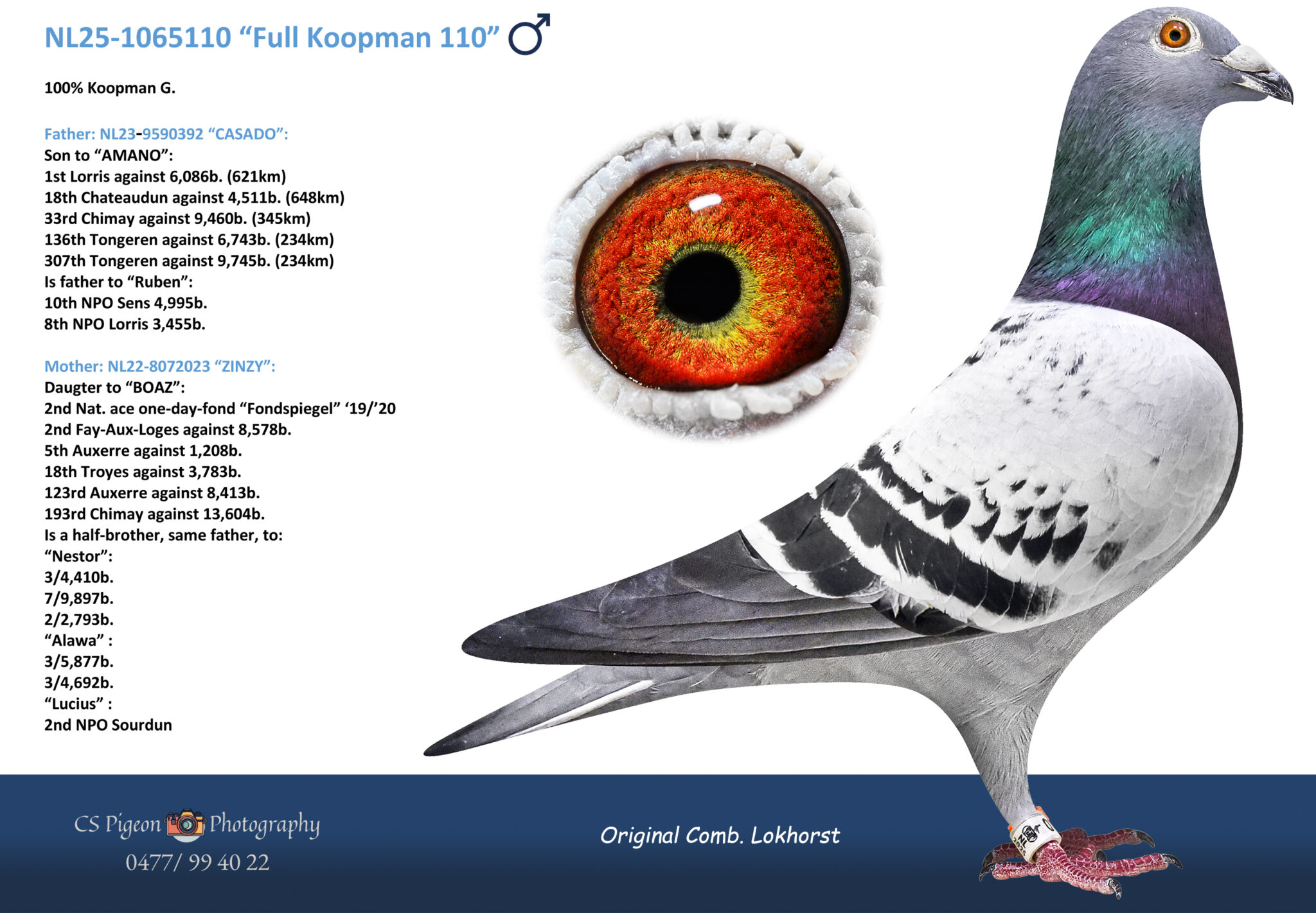 hok Lokhorst Koopman NL 1065110-25